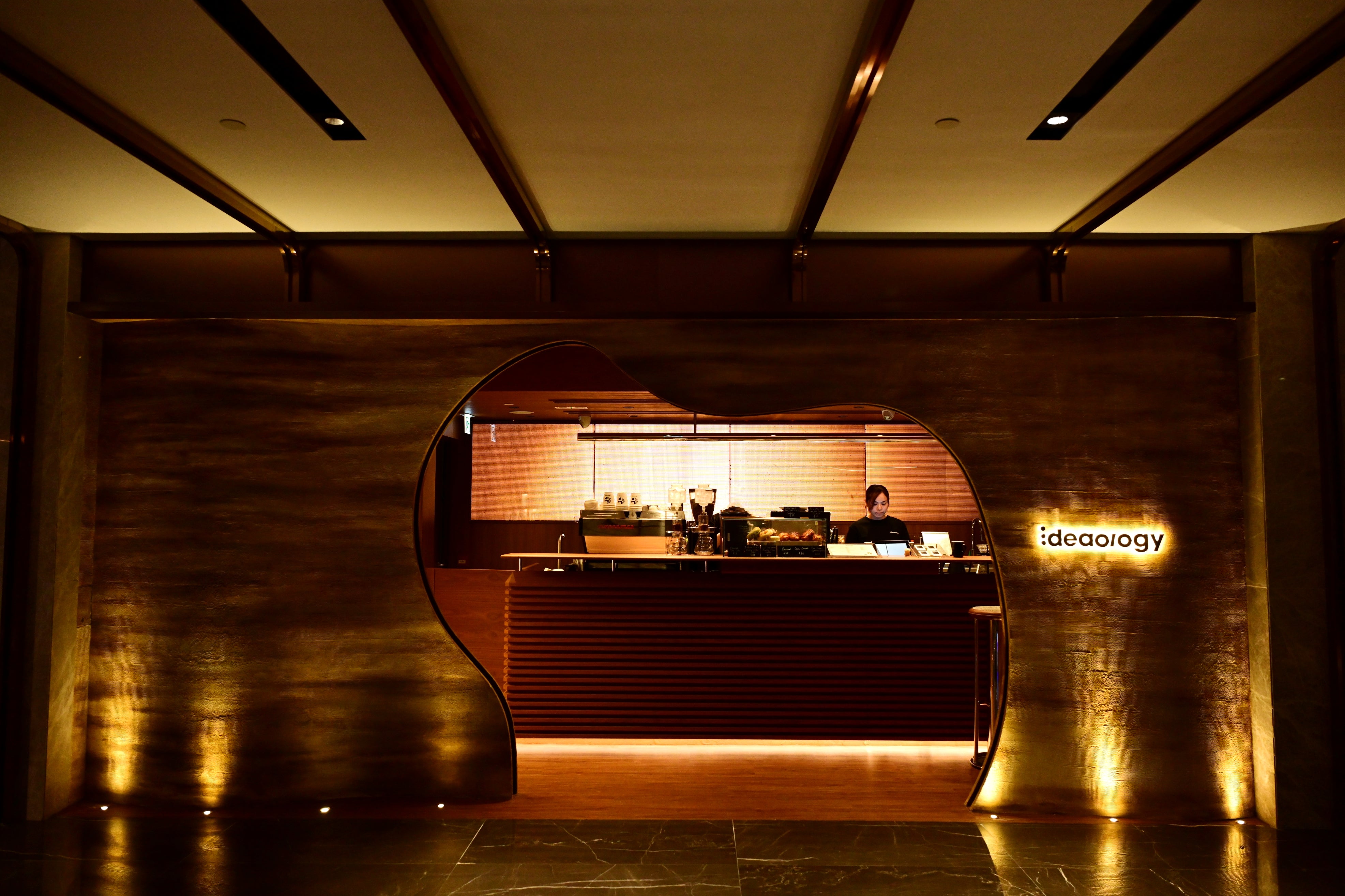 ideaology (11 SKIES)