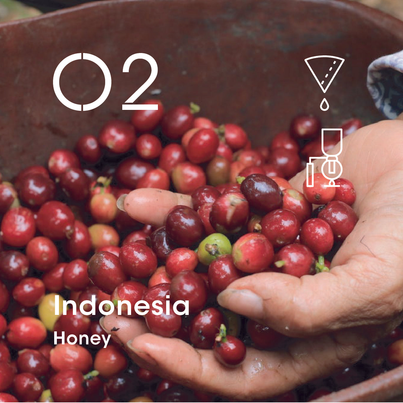 [Coming Soon] Indonesia (Honey) – ideaology